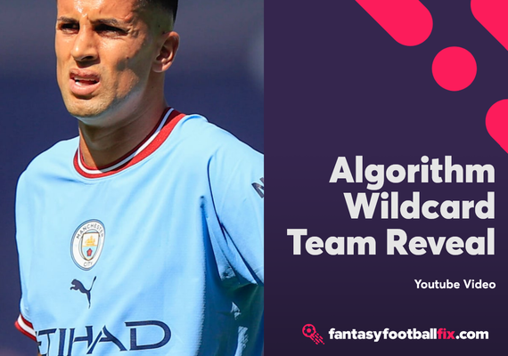 Algorithm Wildcard Team Reveal