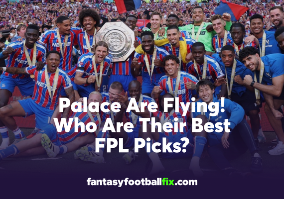 Crystal Palace FPL Picks: Best Options After Community Shield Victory